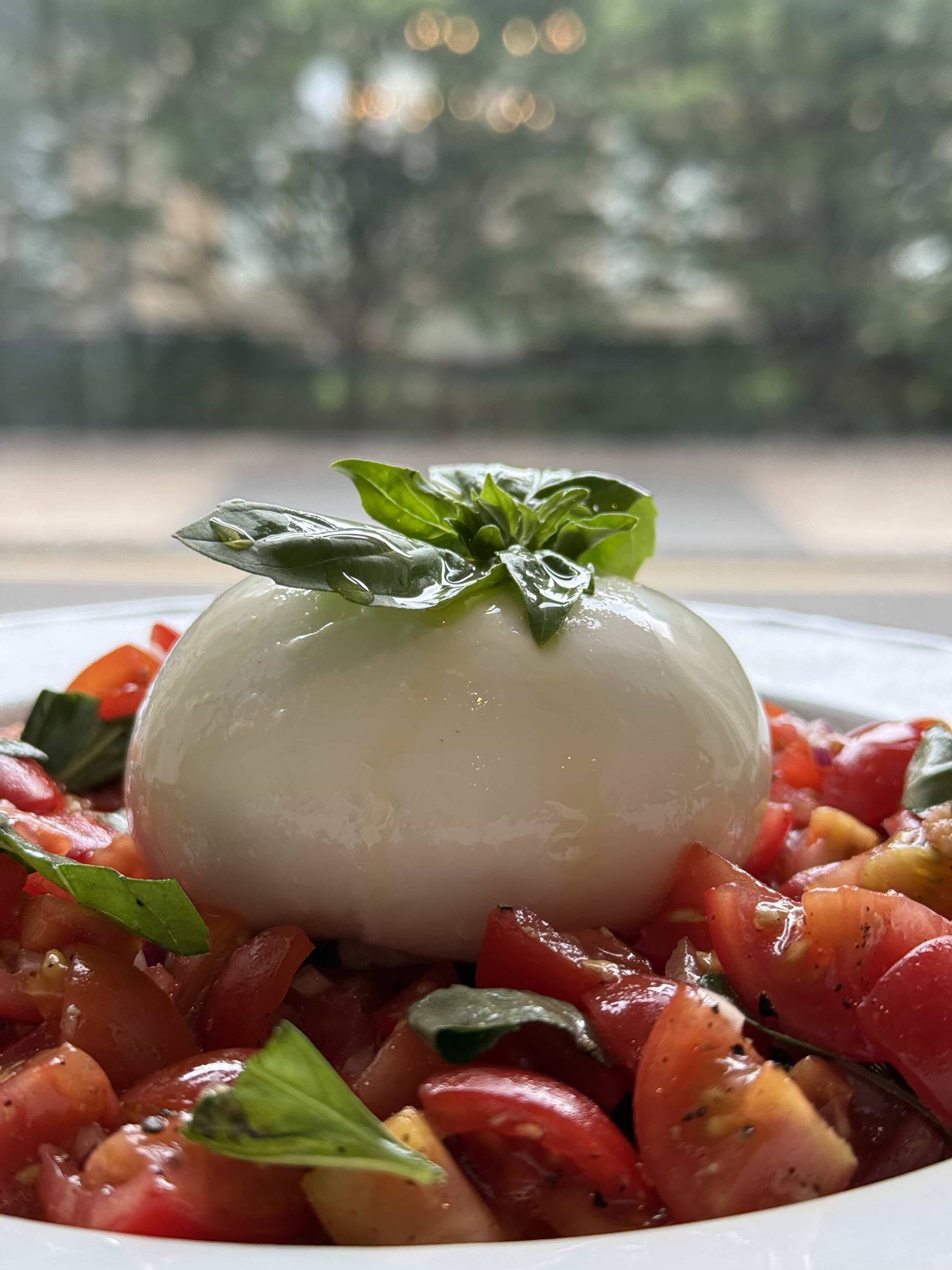 Home | The Bach, Dundee