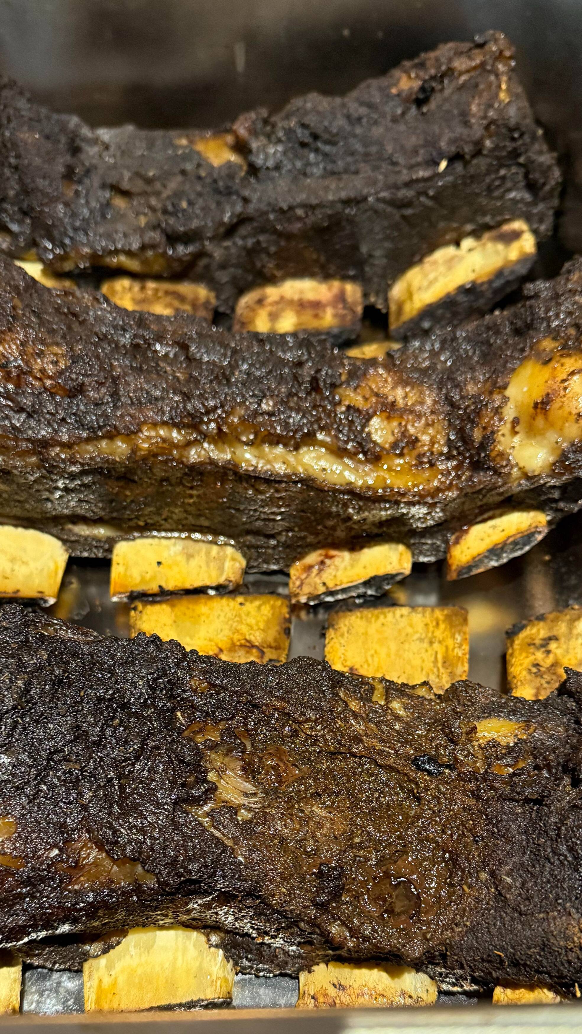 Home | The Bach, Dundee